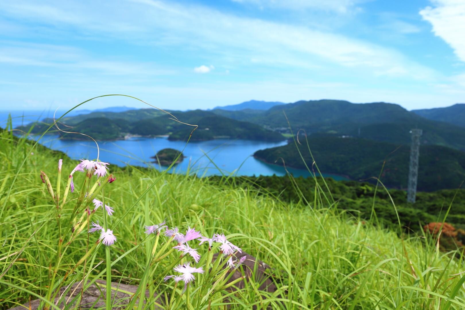天空のお花畑 佐志岳 / yavさんの佐志岳・屏風岳の活動データ | YAMAP / ヤマップ