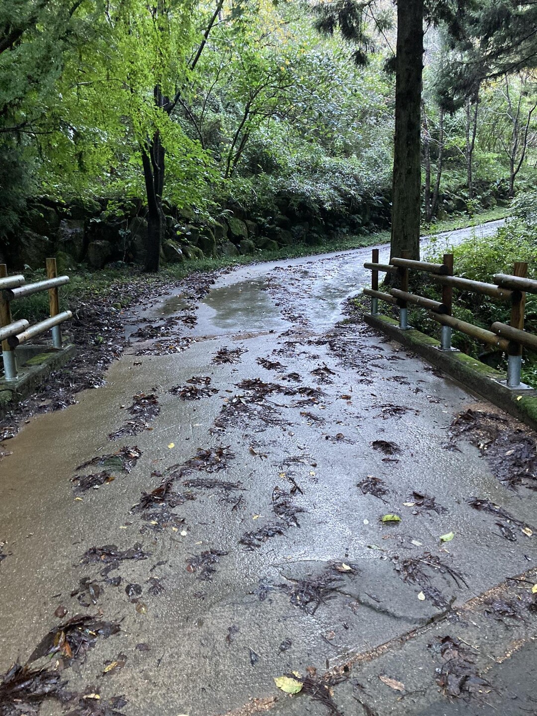 権現山 / run&hiroさんの百々ヶ峰・源太峰の活動データ | YAMAP / ヤマップ