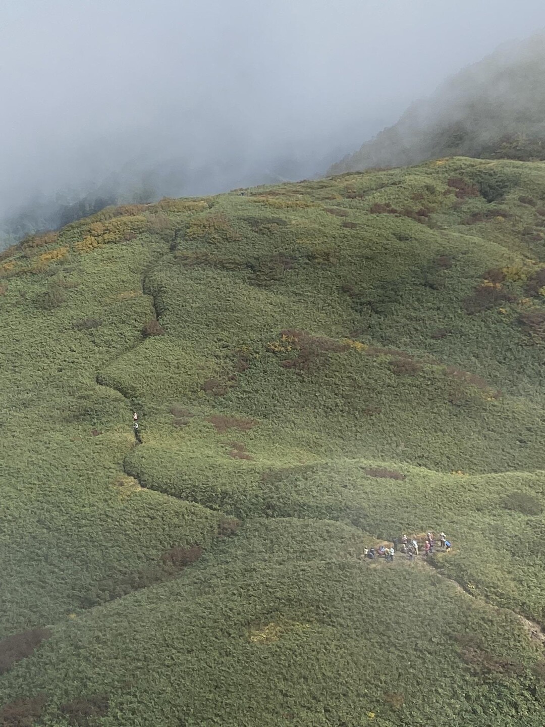 雨飾山 ビーナス‼️感動 / woodsfanさんの雨飾山・大渚山・天狗原山・戸倉山の活動データ | YAMAP / ヤマップ