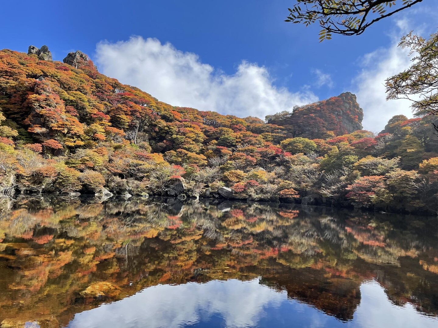 大船山 / kinjunさんの九重山（久住山）・大船山・星生山の活動データ | YAMAP / ヤマップ