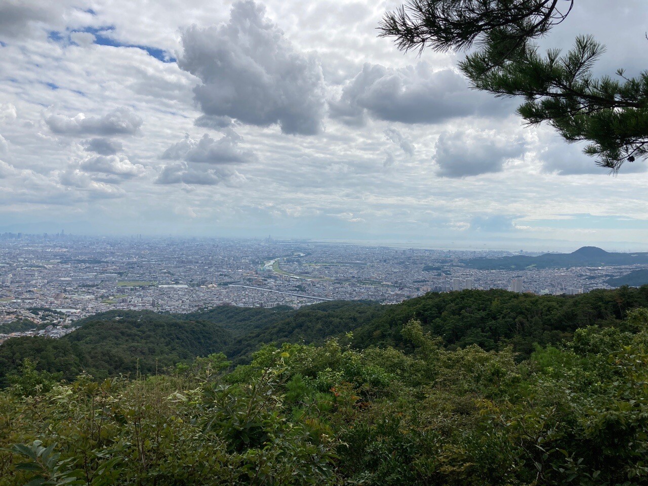 吾孫子の峰・中山・天宮塚 / freddietさんの中山・大峰山の活動データ | YAMAP / ヤマップ