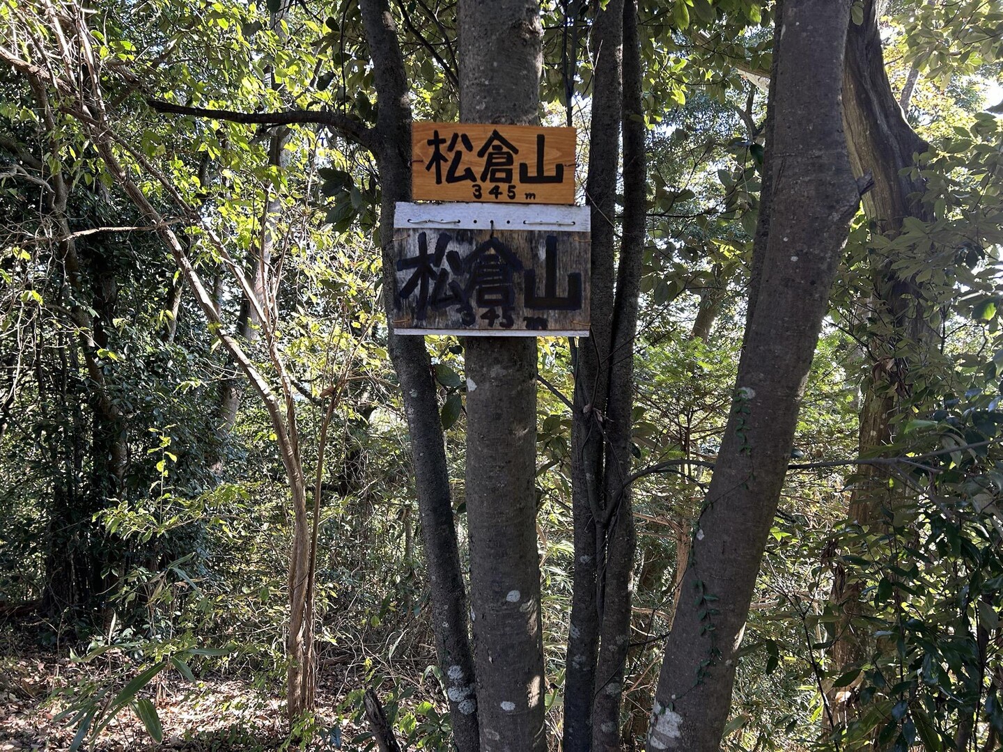 栃百 松倉山 / mimosaさんの松倉山の活動データ | YAMAP / ヤマップ