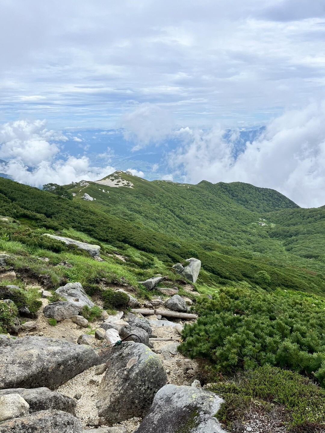池山・ヨナ沢の頭・空木岳 / しょたさんの木曽駒ヶ岳・空木岳・越百山の活動データ | YAMAP / ヤマップ