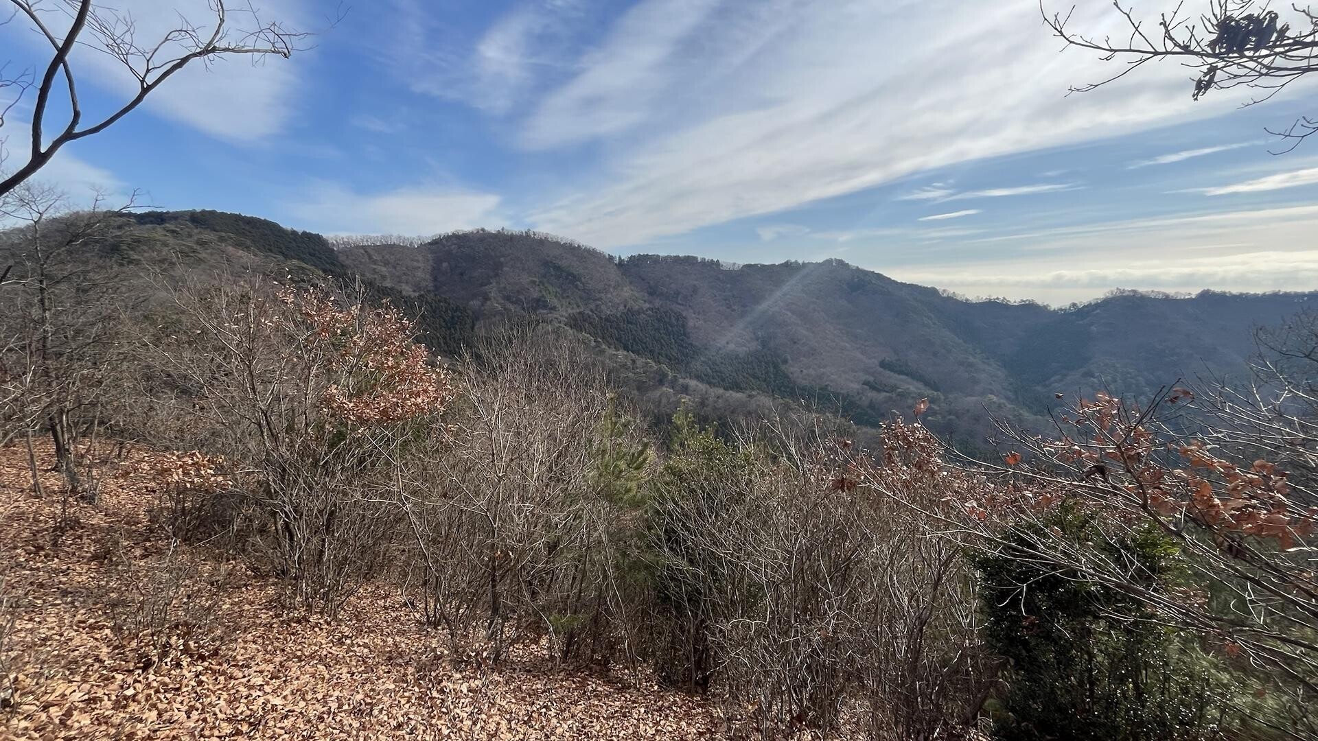 大入山・桜山 / isoさんの両崖山・仙人ヶ岳・石尊山の活動データ | YAMAP / ヤマップ