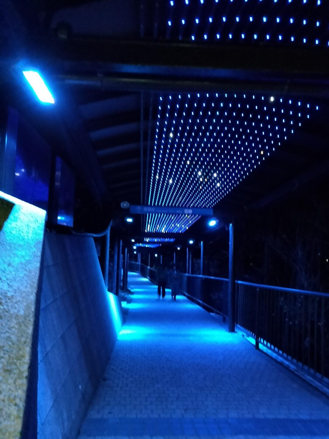 稲佐山 / KUMIKOさんの稲佐山の活動データ | YAMAP / ヤマップ