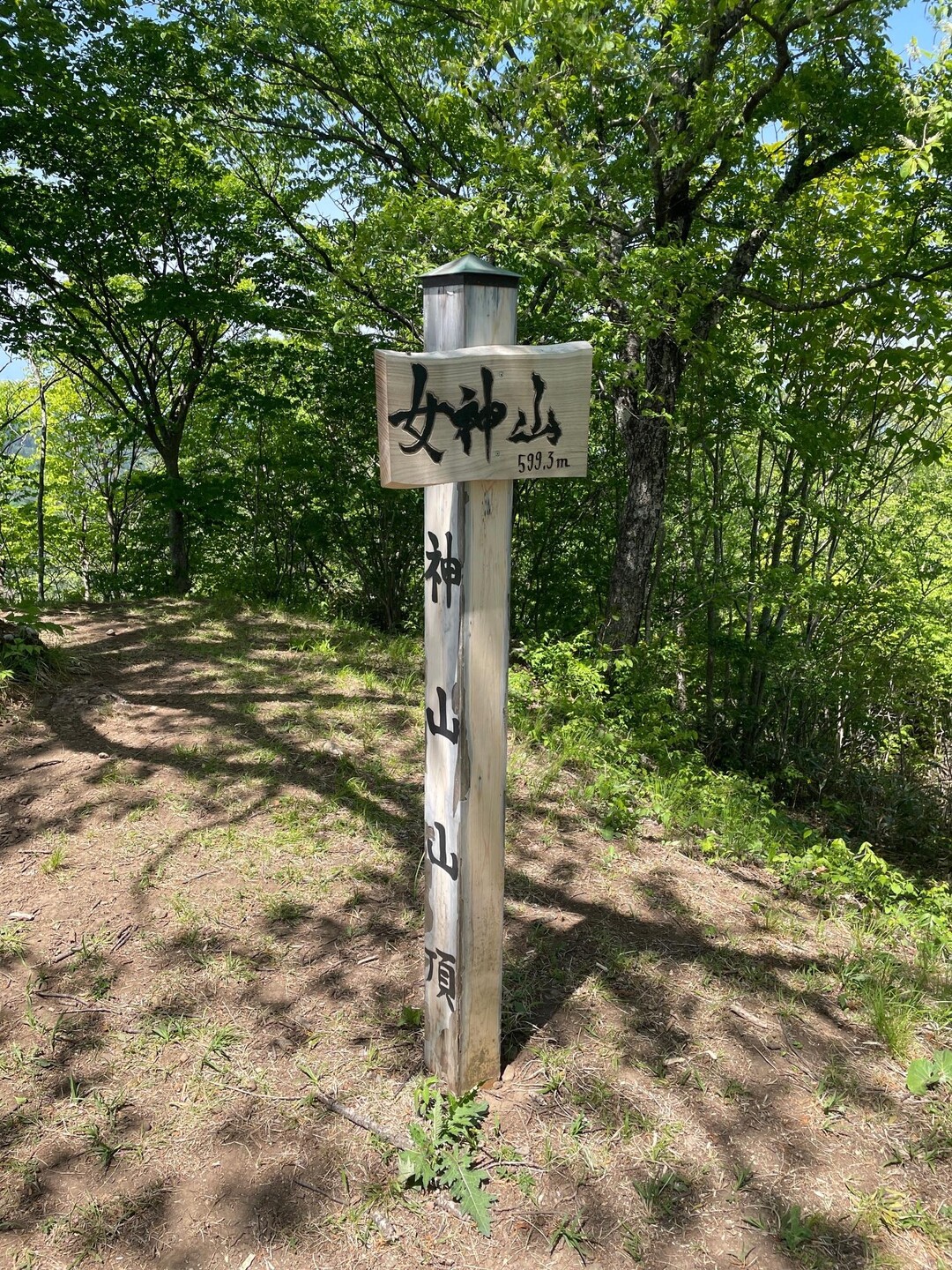 女神山 / dr.gorillaさんの女神山の活動データ | YAMAP / ヤマップ