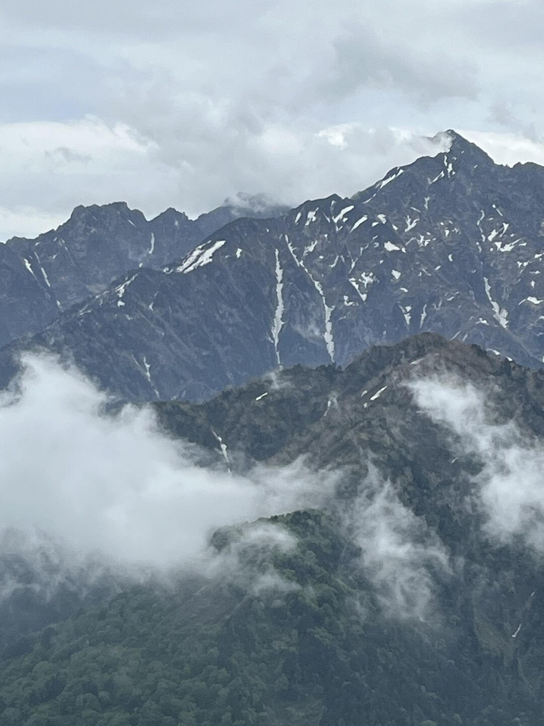 急登です🐻大熊山 / mierinさんの大熊山・クズバ山・中山の活動データ | YAMAP / ヤマップ