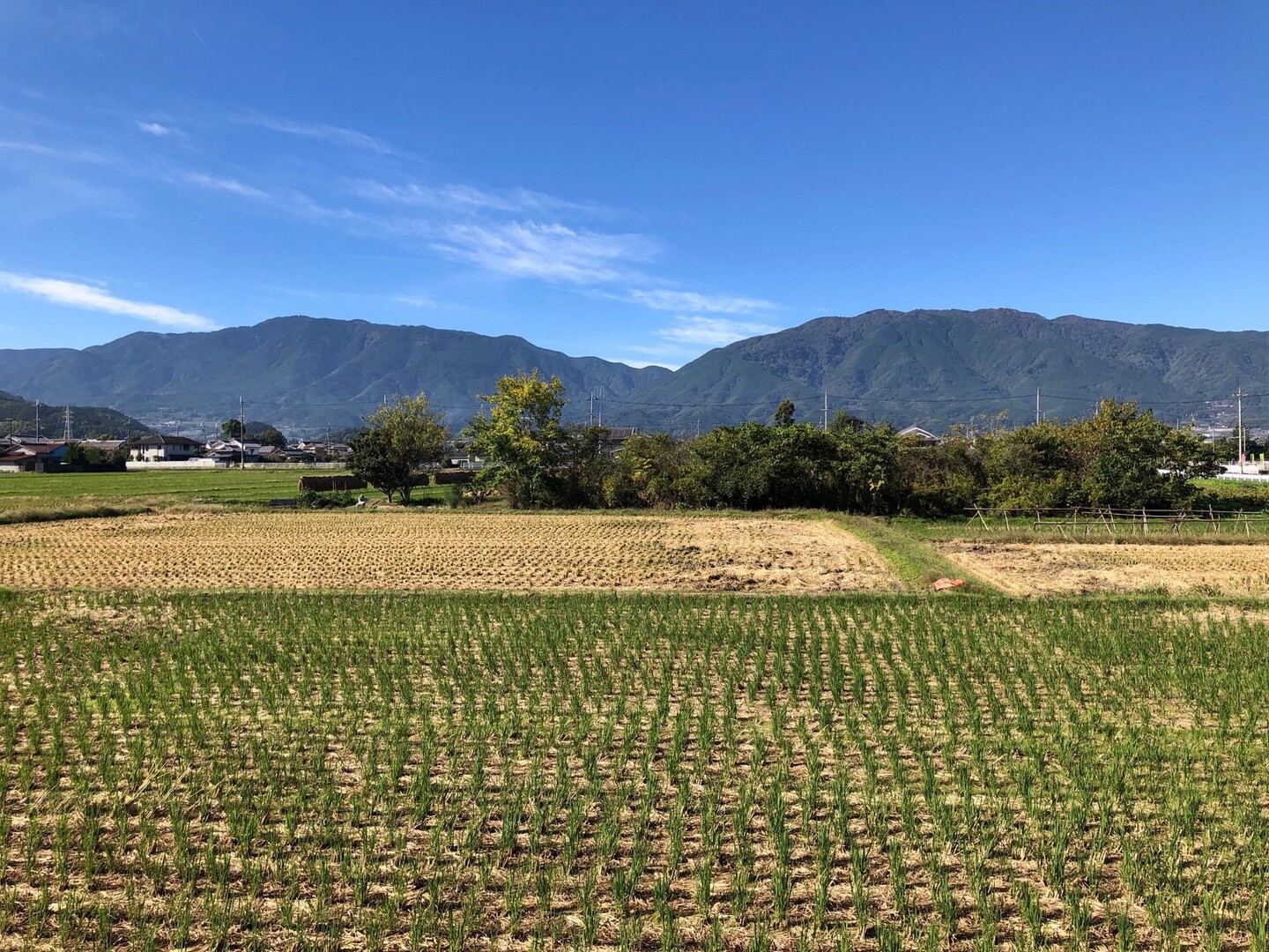 国見山 / Zak-Sanさんの国見山・貝吹山の活動日記 | YAMAP / ヤマップ