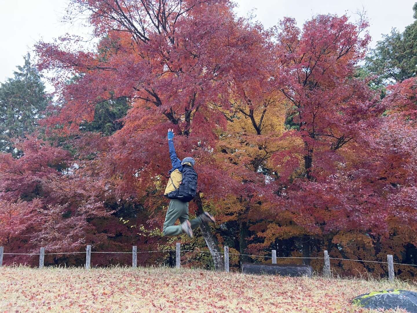 飯盛山・真弓山 / ISSEIさんの黍生・飯盛山・真弓山の活動データ | YAMAP / ヤマップ