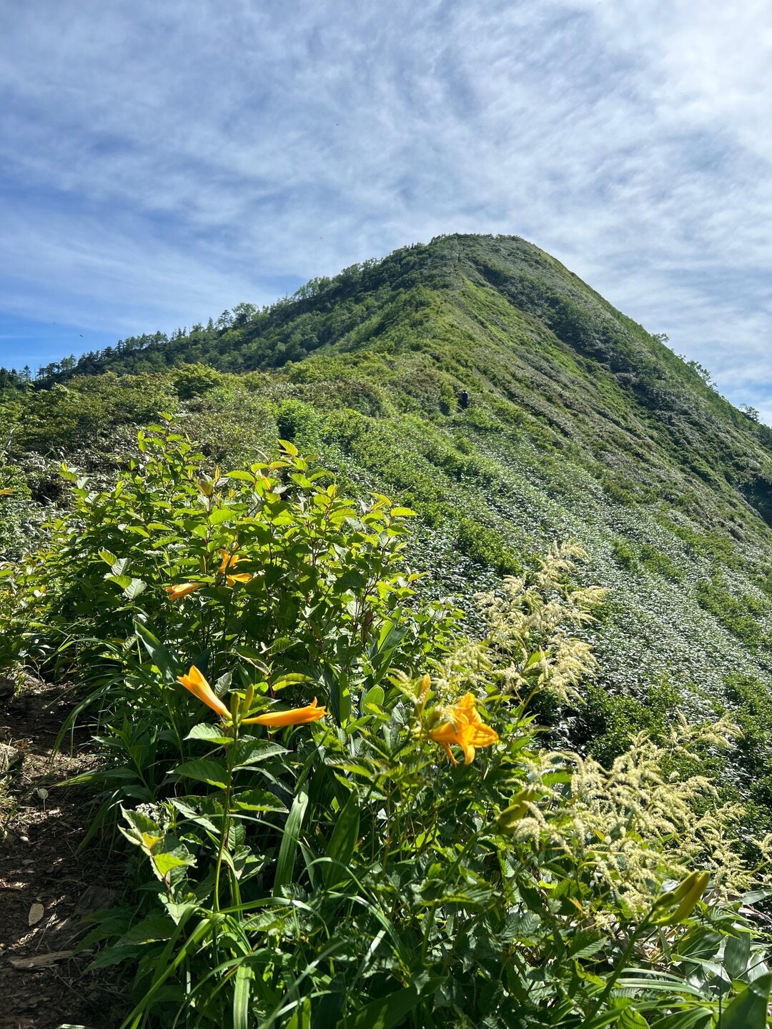 白砂山・八間山・他_2024-07-07 / FJ-Zさんの白砂山・堂岩山・八間山の活動データ | YAMAP / ヤマップ