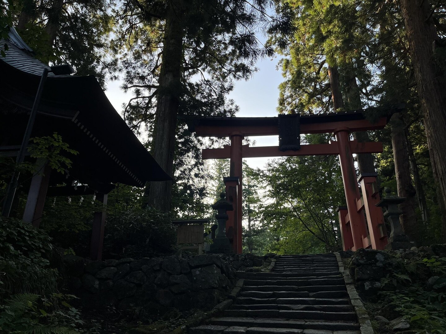 早朝にサクッと羽黒山 / ユーザーNorikoさんの羽黒山の活動データ | YAMAP / ヤマップ