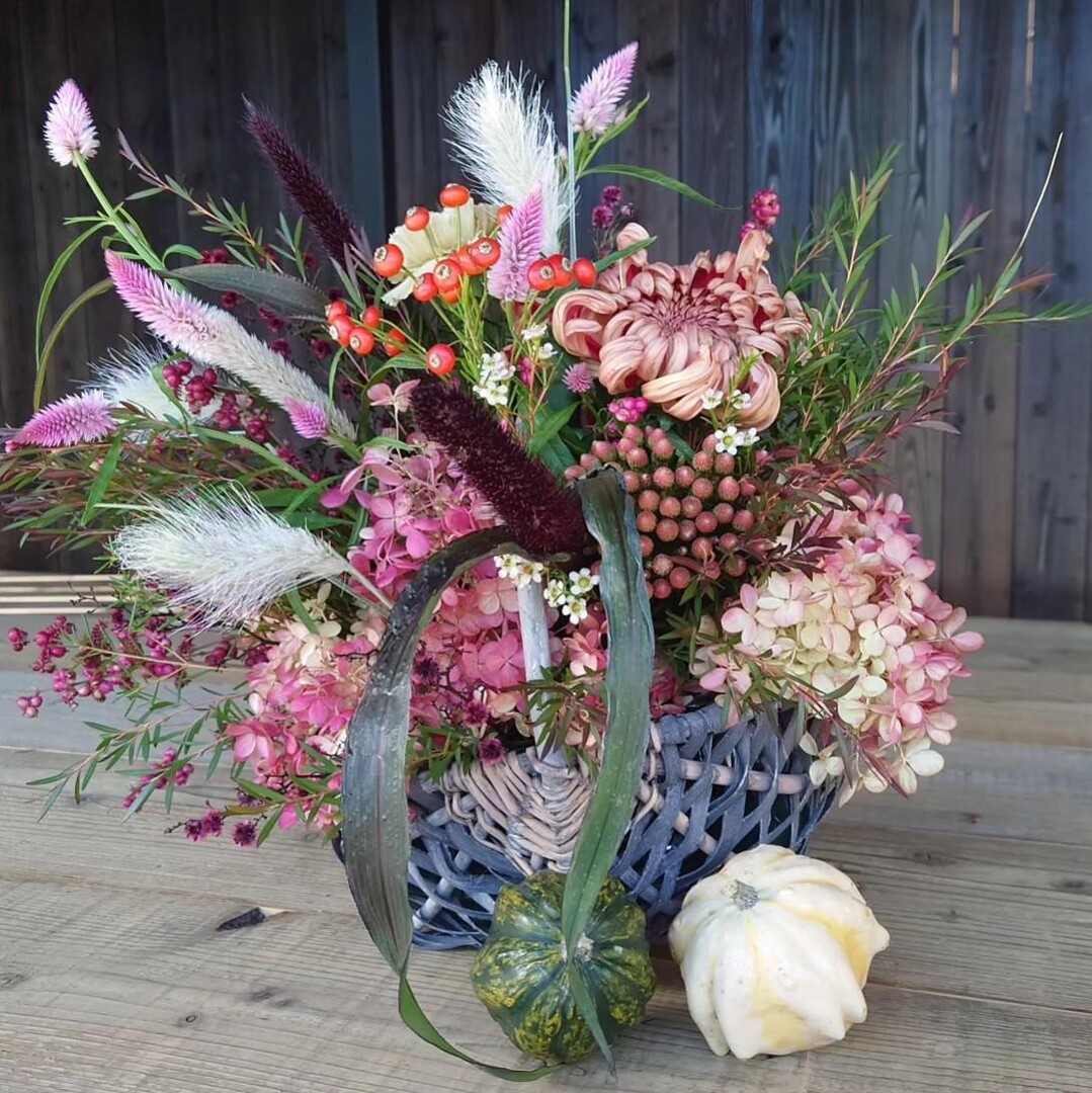 Happy Halloween🎃👻 ... / Bobにゃんさんのモーメント | YAMAP / ヤマップ