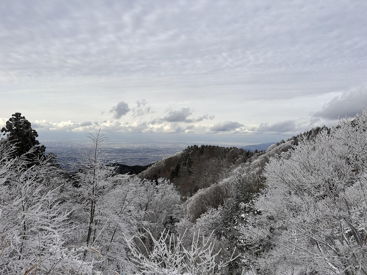 金剛山 / KBさんの金剛山・二上山・大和葛城山の活動データ | YAMAP / ヤマップ