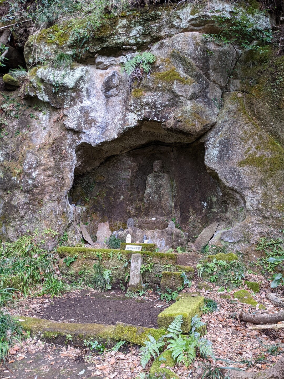 saiさんの投稿したフィールドメモ | YAMAP / ヤマップ