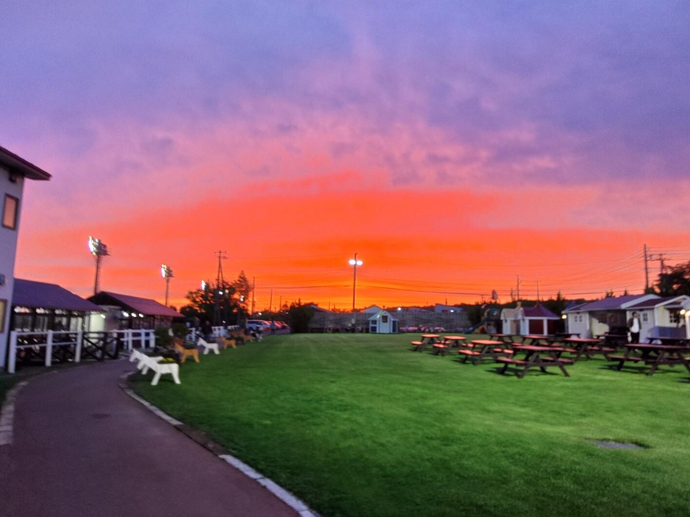 鹿道に導かれ寿都似山 / ふじやんさんのGT3 8の活動日記 | YAMAP / ヤマップ