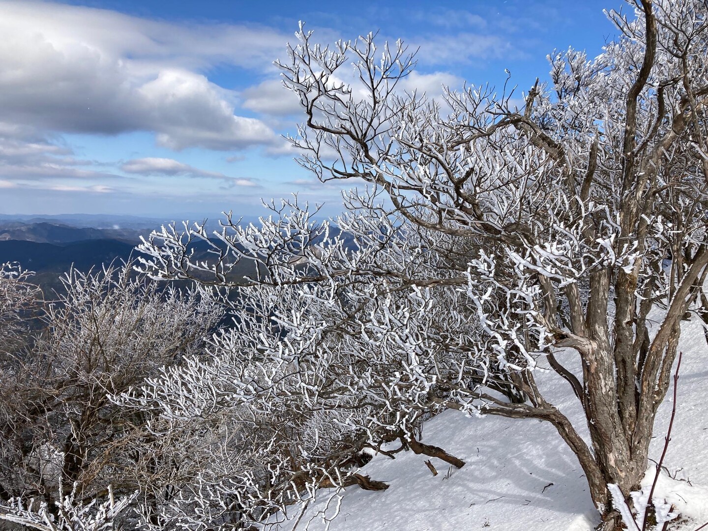 高見山 / Samさんの高見山・黒石山・天狗山の活動データ | YAMAP / ヤマップ