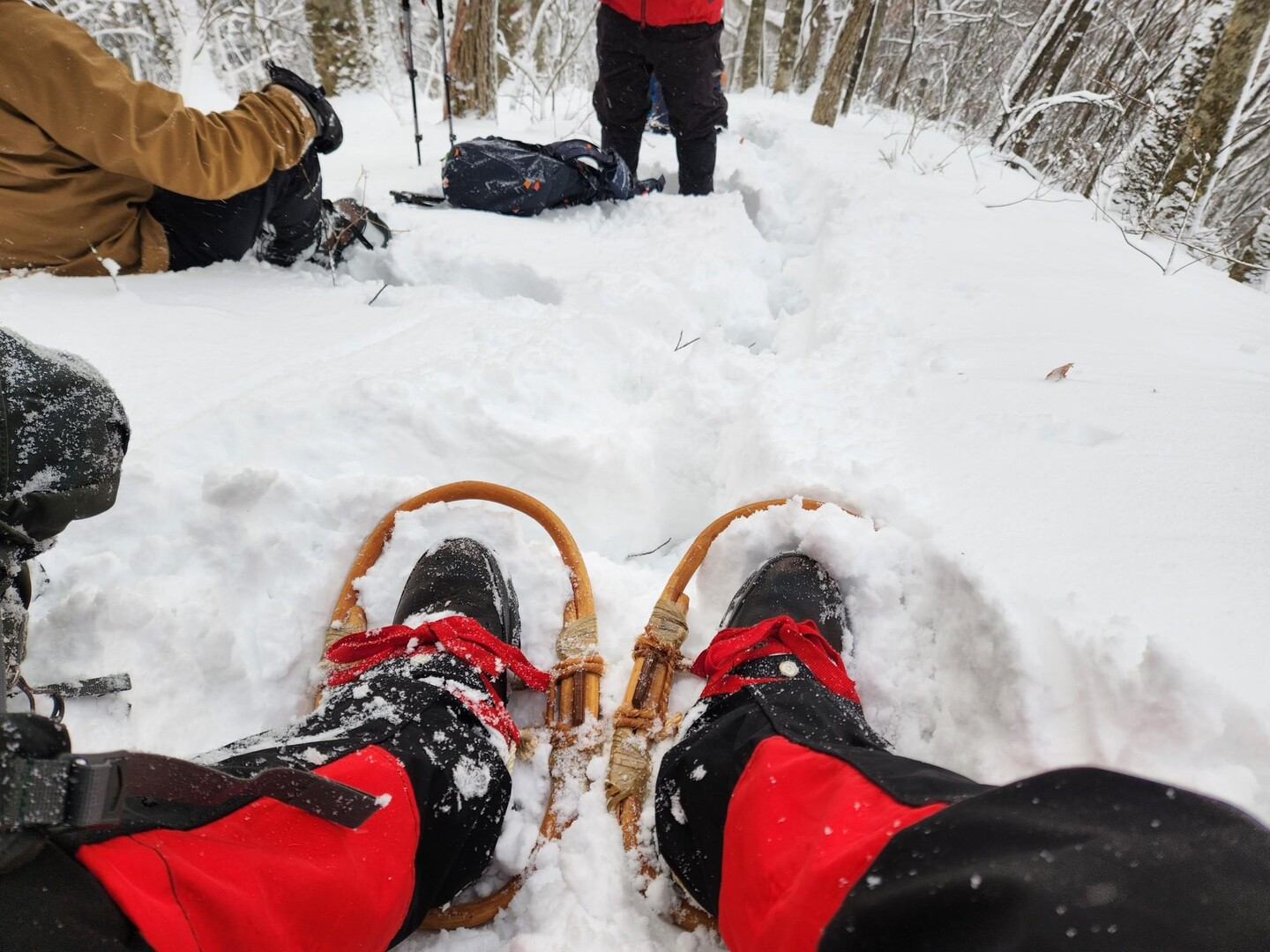 大東岳(尾根コース下見その2) / drumscoさんの面白山・神室岳・大東岳・雨呼山の活動データ | YAMAP / ヤマップ