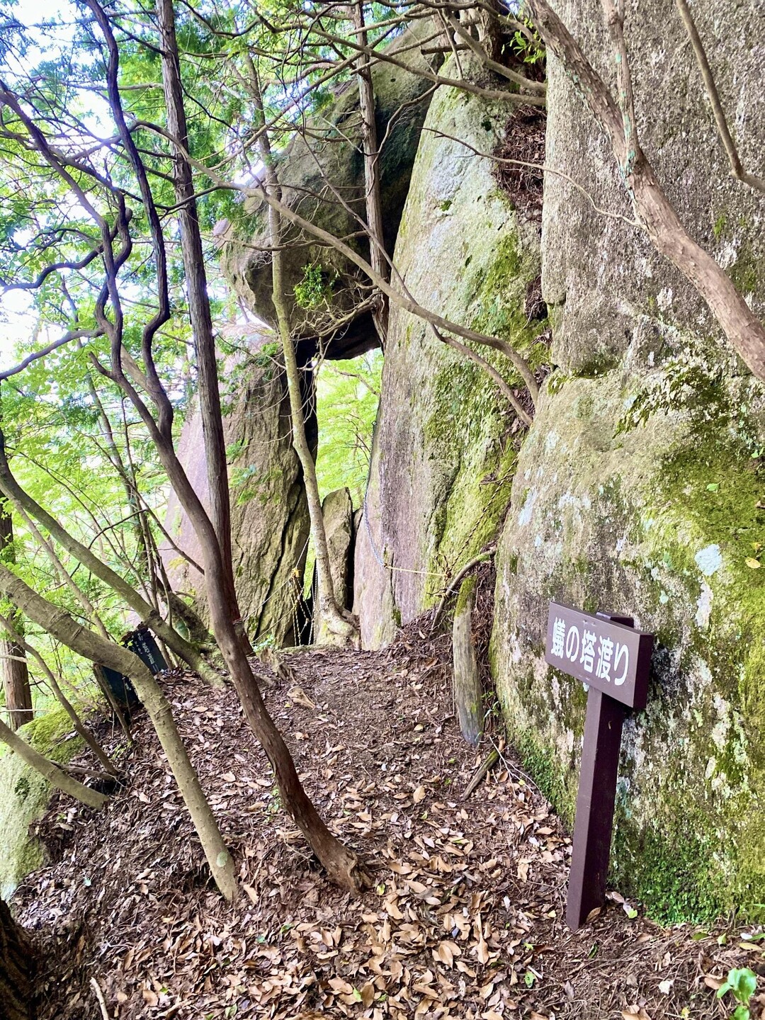 飯道山 行場めぐり / Allyさんの飯道山の活動データ | YAMAP / ヤマップ