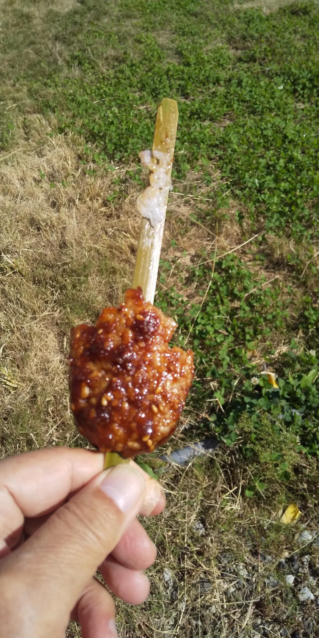 遠見山・納古山 五平餅が美味 / mokoさんの納古山の活動日記 | YAMAP / ヤマップ