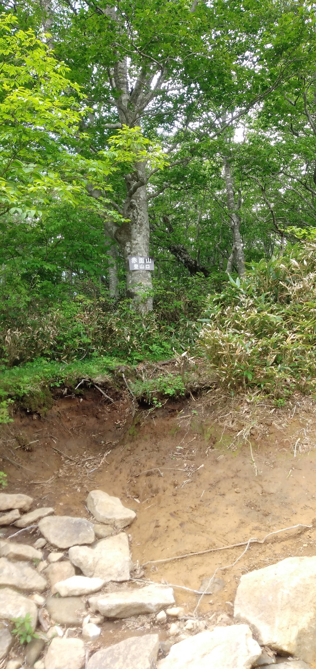 akiさんの投稿したフィールドメモ | YAMAP / ヤマップ