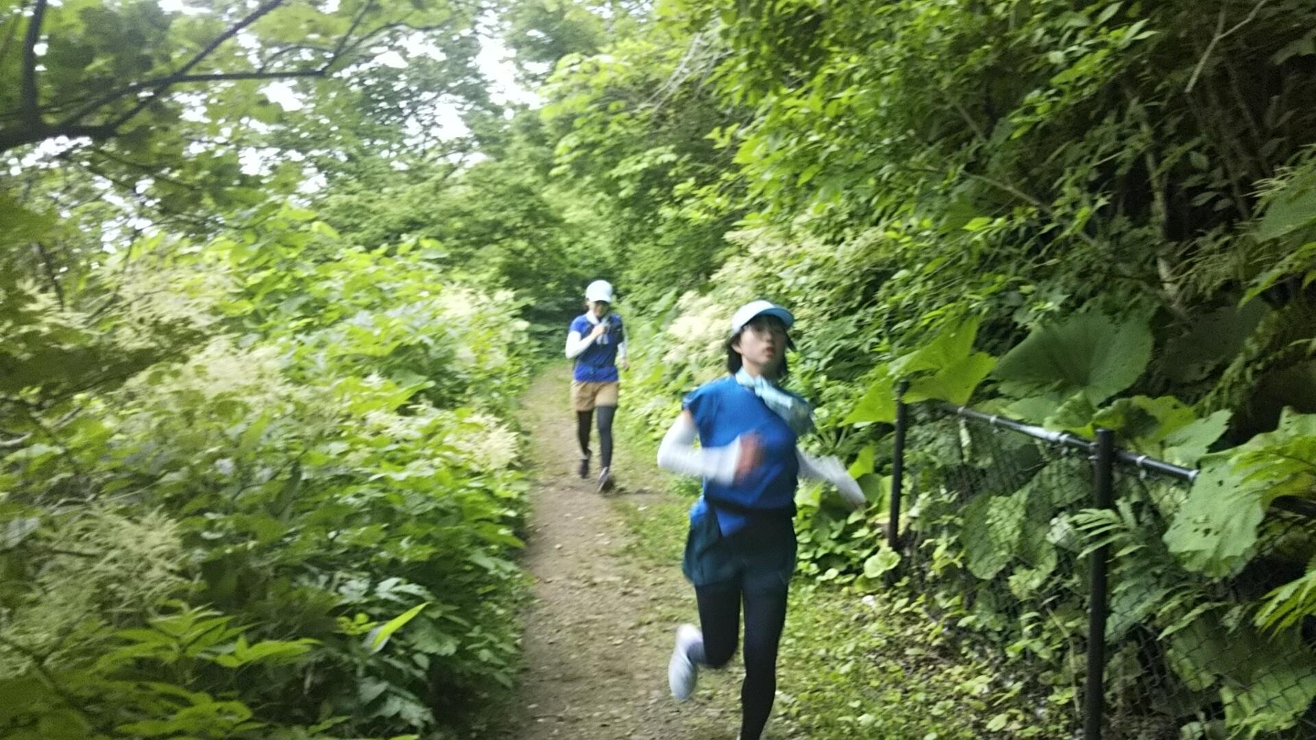 函館山スロー🏃13😼👧 / keiさんの函館市の活動データ | YAMAP / ヤマップ