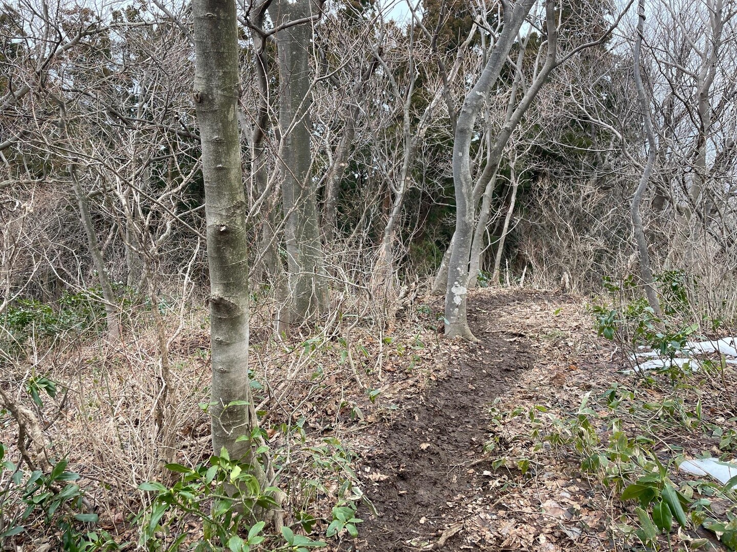 kaizaさんの投稿したフィールドメモ | YAMAP / ヤマップ