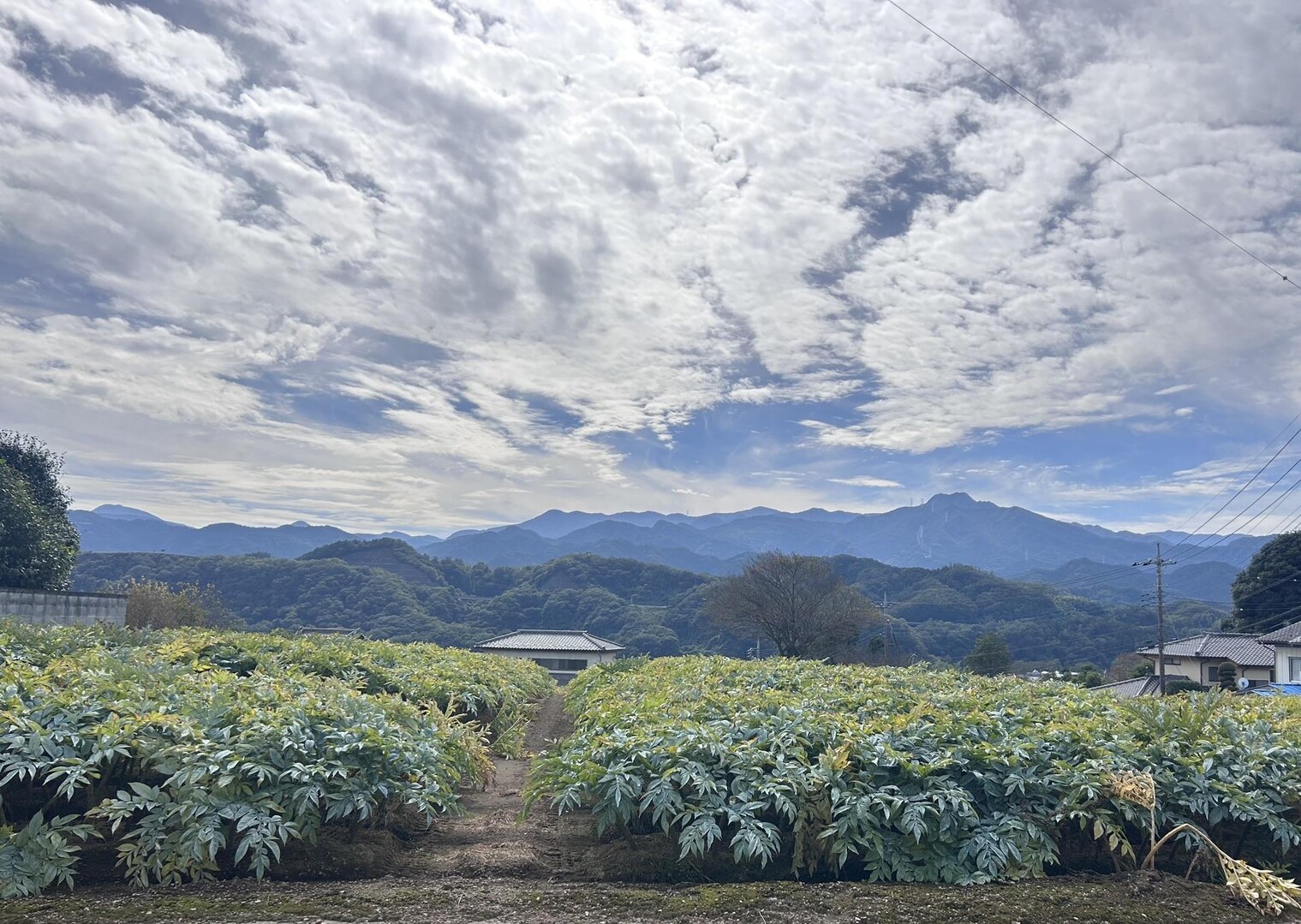 富岡アルプス九連峰12 -2023-10-14 / KARINAさんのウォーキングの活動データ | YAMAP / ヤマップ