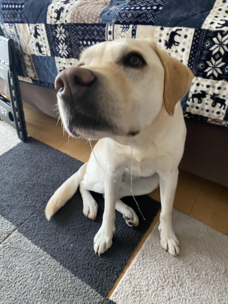 Osaのページ | YAMAP / ヤマップ