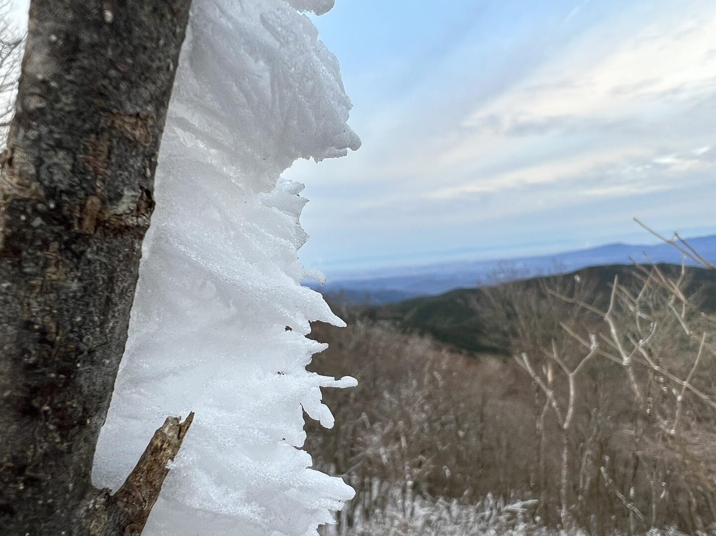 霧氷チャレンジ 寧比曽岳編 / harusan ~さんの寧比曽岳・筈ヶ岳・出来山の活動データ | YAMAP / ヤマップ