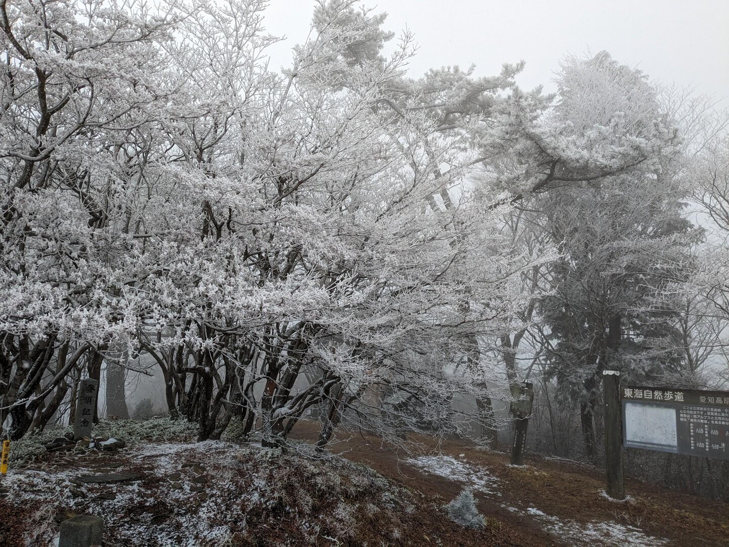 寧比曽岳 / yasu1979さんの寧比曽岳・筈ヶ岳・出来山の活動データ | YAMAP / ヤマップ