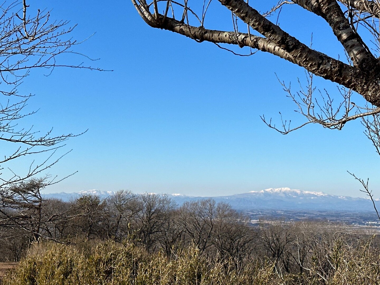 加護坊山 / ischanさんの加護坊山の活動データ | YAMAP / ヤマップ