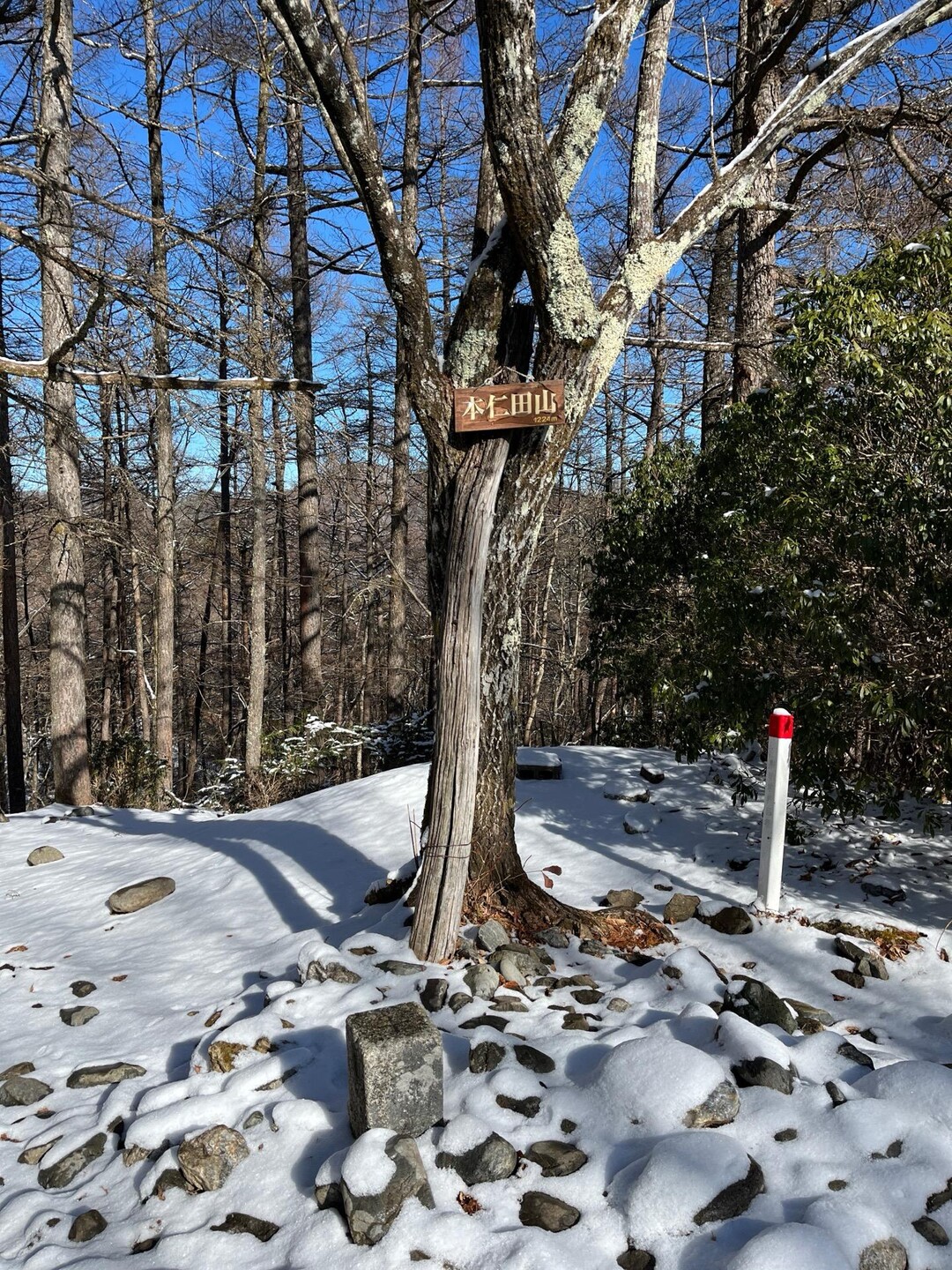 リベンジ！ 本仁田山 / Nano Yamazukiさんの川苔山（川乗山）の活動データ | YAMAP / ヤマップ