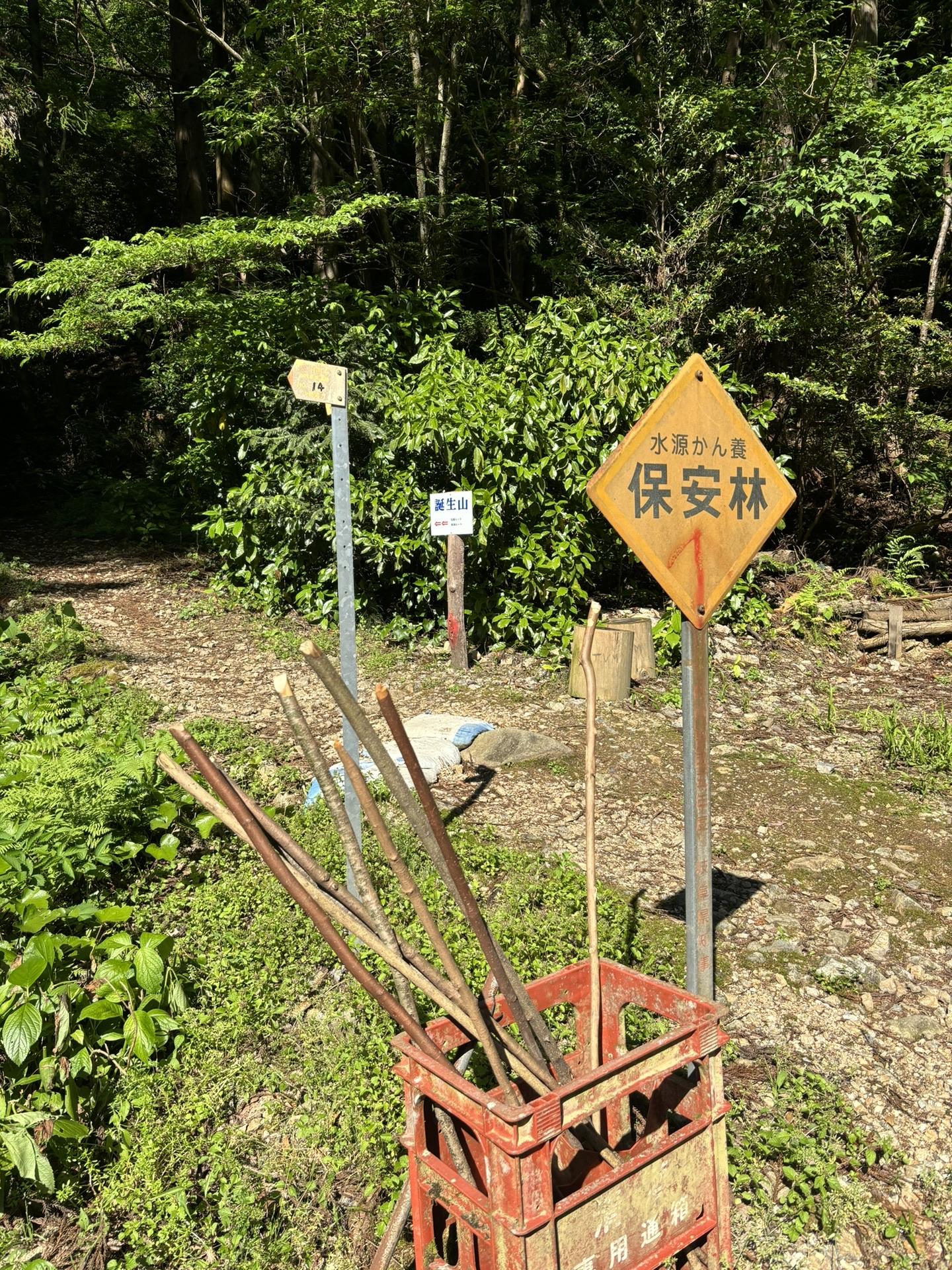 誕生山 2nd / 和泉さんの天王山・誕生山の活動データ | YAMAP / ヤマップ