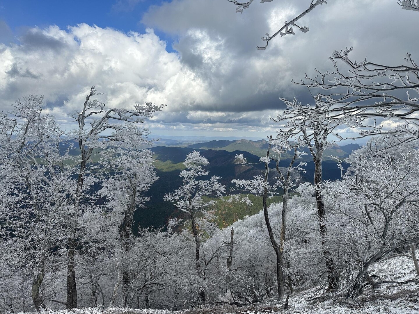 高見山 / No Green No Life 178さんの高見山・黒石山・天狗山の活動データ | YAMAP / ヤマップ
