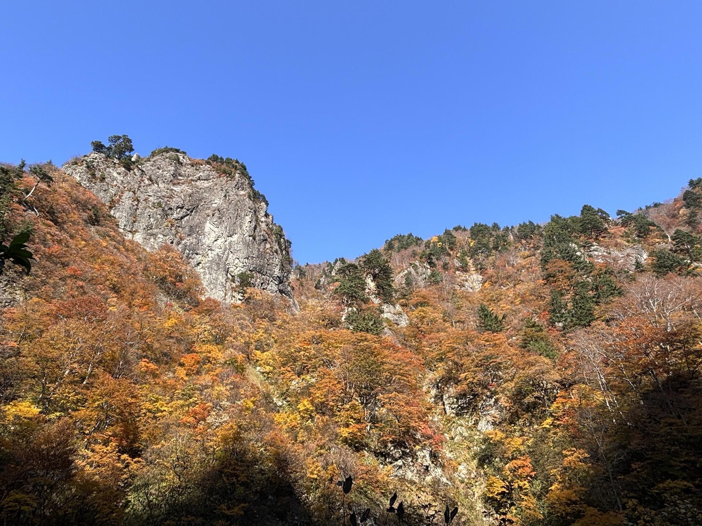【裏巻機山渓谷】牛ヶ岳・巻機山・御機屋（巻機山 山標柱）・割引岳 / krnさんの巻機山・割引岳・金城山の活動データ | YAMAP / ヤマップ