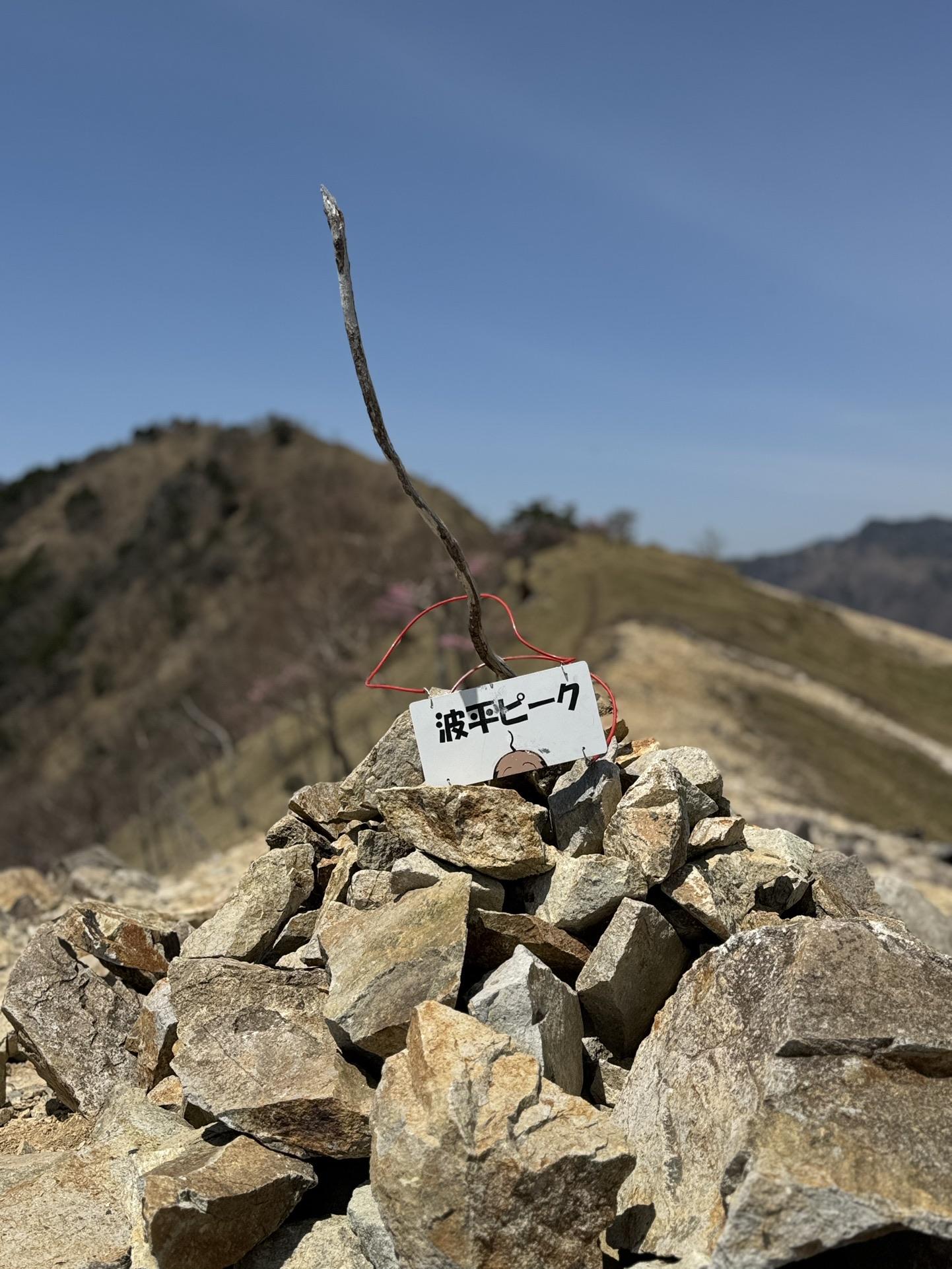 中倉山、波平ピーク / cobalt さんの社山・半月山の活動データ | YAMAP / ヤマップ