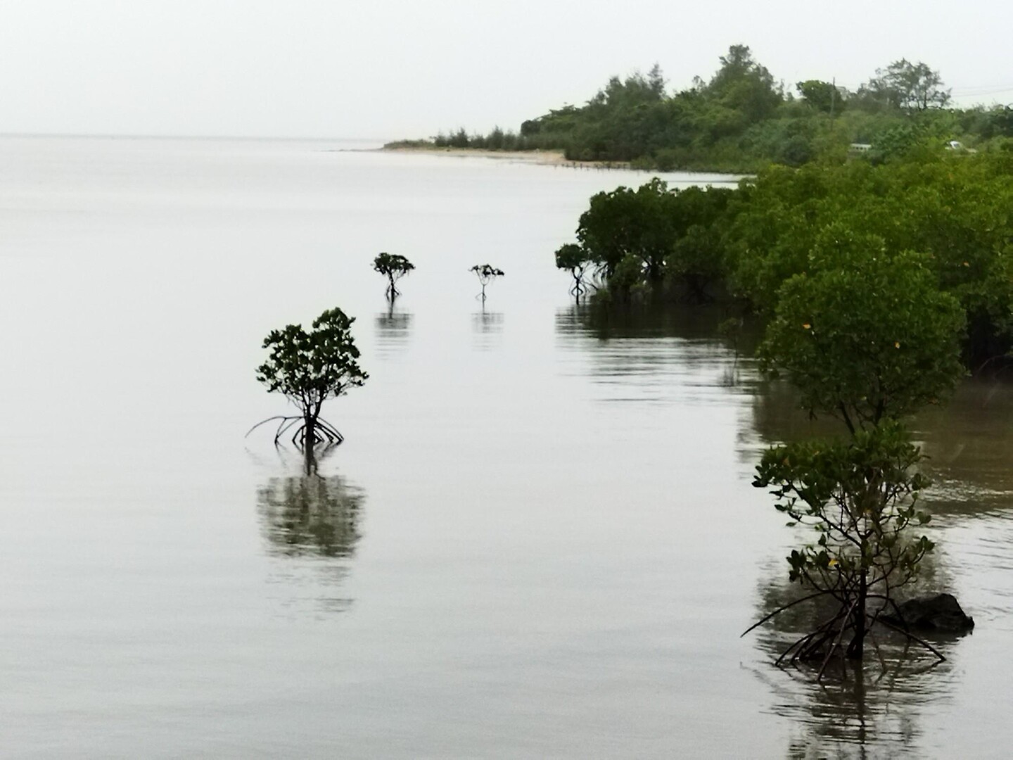 すごく綺麗だったなぁ。。。 次の日は帰宅... / おだや〜p(^-^)qさんのモーメント | YAMAP / ヤマップ