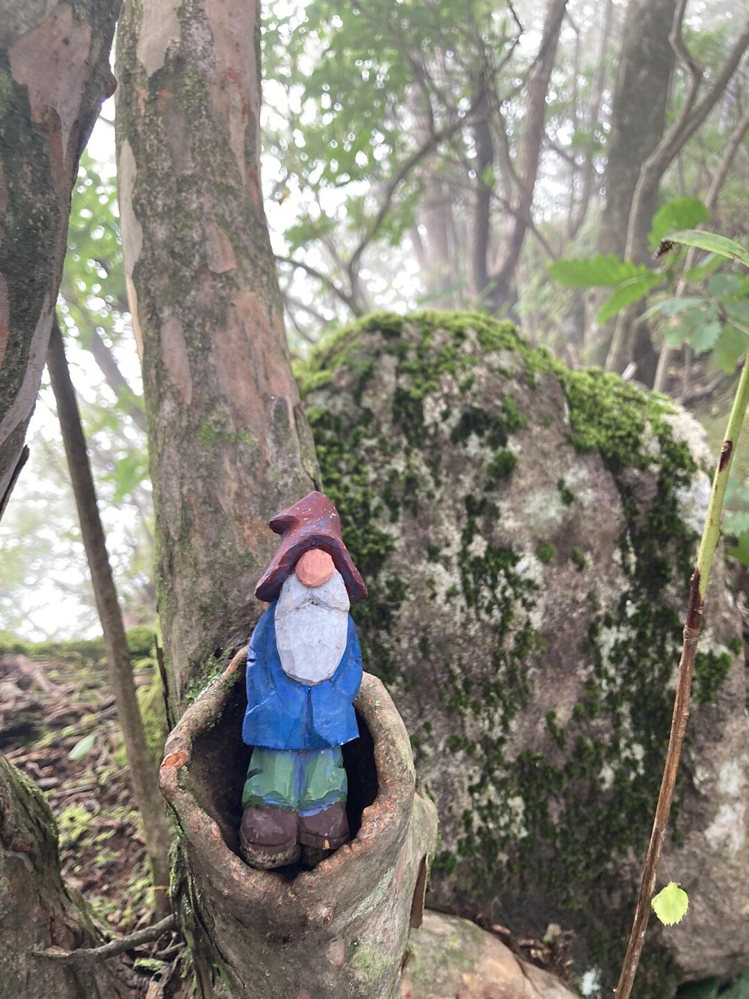 水澤山2024-09-16 / ☆ tsu-sun ☆さんの登山の活動データ | YAMAP / ヤマップ