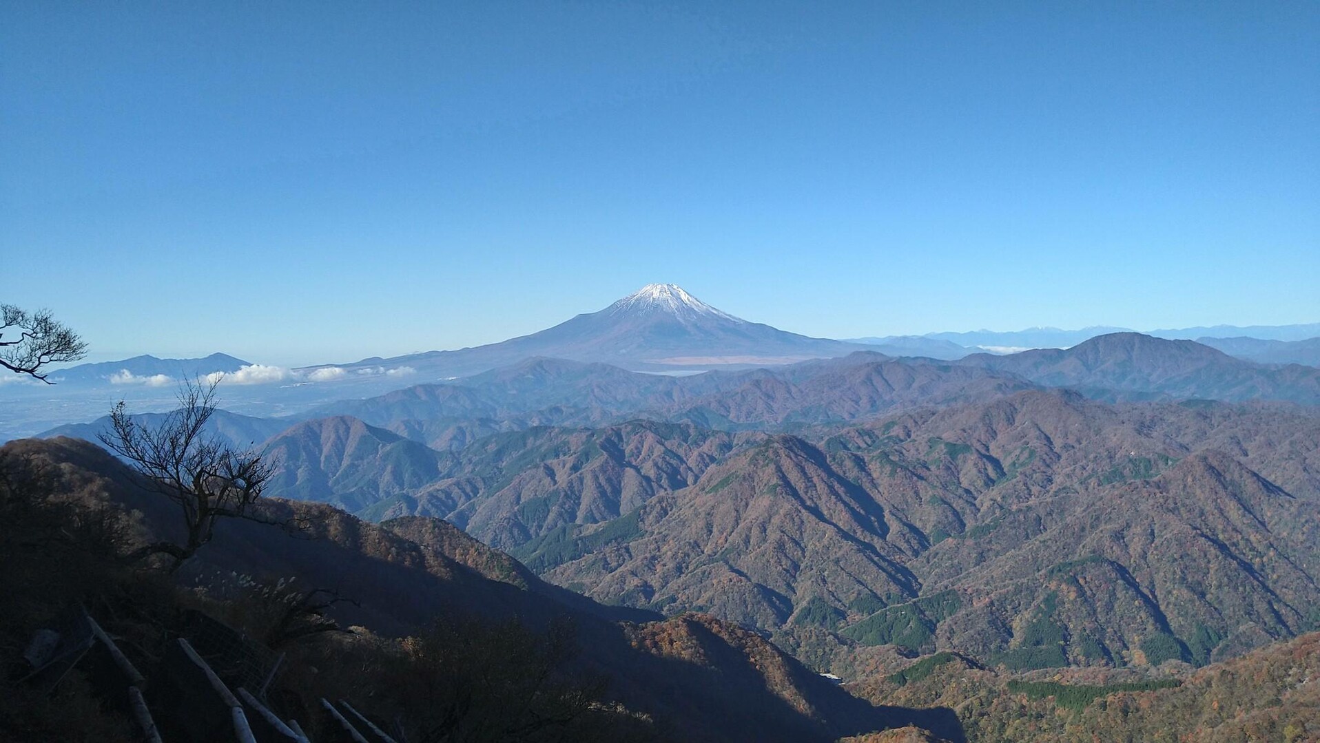 檜洞丸・熊笹ノ峰・大笄・小笄 / Oっchanさんの丹沢山の活動データ | YAMAP / ヤマップ