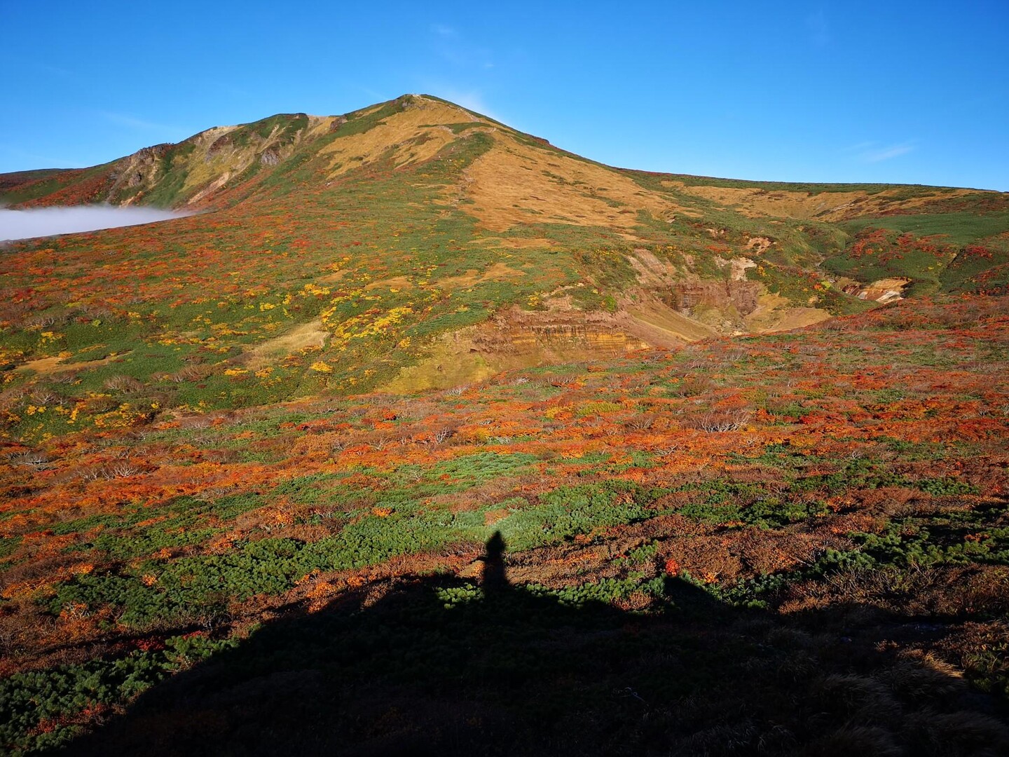 R6.10.14東栗駒山・栗駒山(神の絨毯) / ま〜さんの栗駒山（須川岳）・秣岳・虚空蔵山の活動データ | YAMAP / ヤマップ