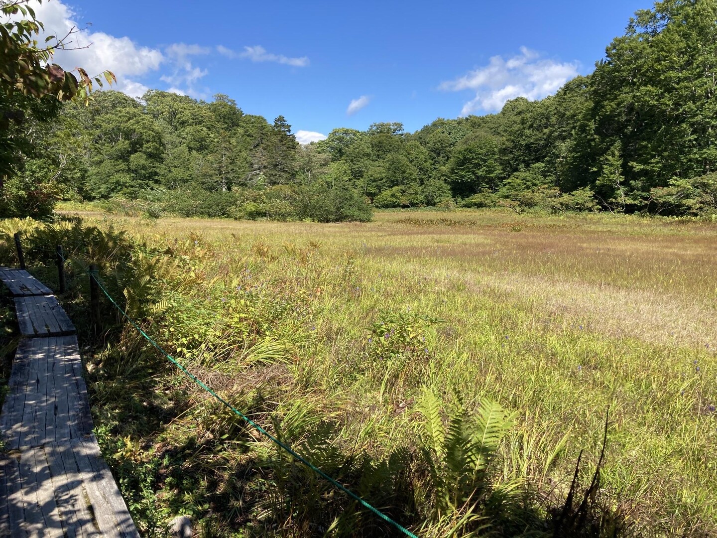 籾糠山 / mi_chicoさんの籾糠山の活動データ | YAMAP / ヤマップ