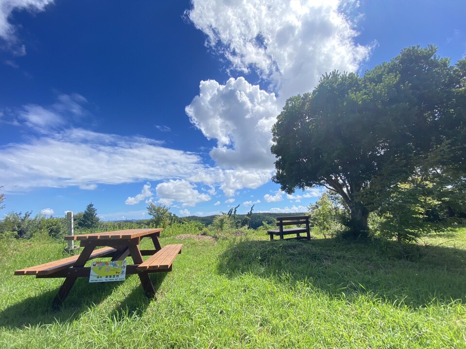 河和口駅-憩の広場-オレンジ広場-鍋山-奥田海水浴場-知多 縦走コースの地図・登山ルート・登山口情報 | YAMAP / ヤマップ