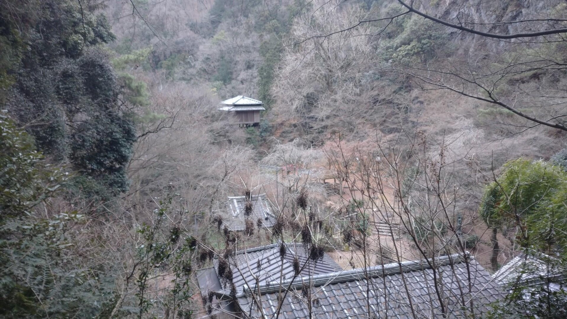 足利アルプス（素っぴん→雪化粧） / shinpeiさんの両崖山・仙人ヶ岳・石尊山の活動データ | YAMAP / ヤマップ