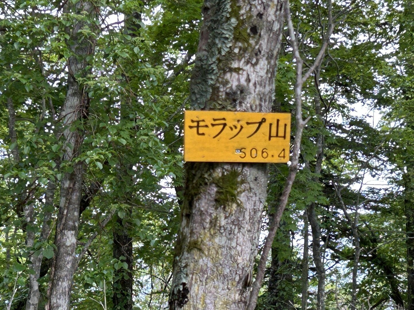 お忍び🥷（2/3）モラップ山 / ike.ike.ike-ponさんの紋別岳の活動データ | YAMAP / ヤマップ