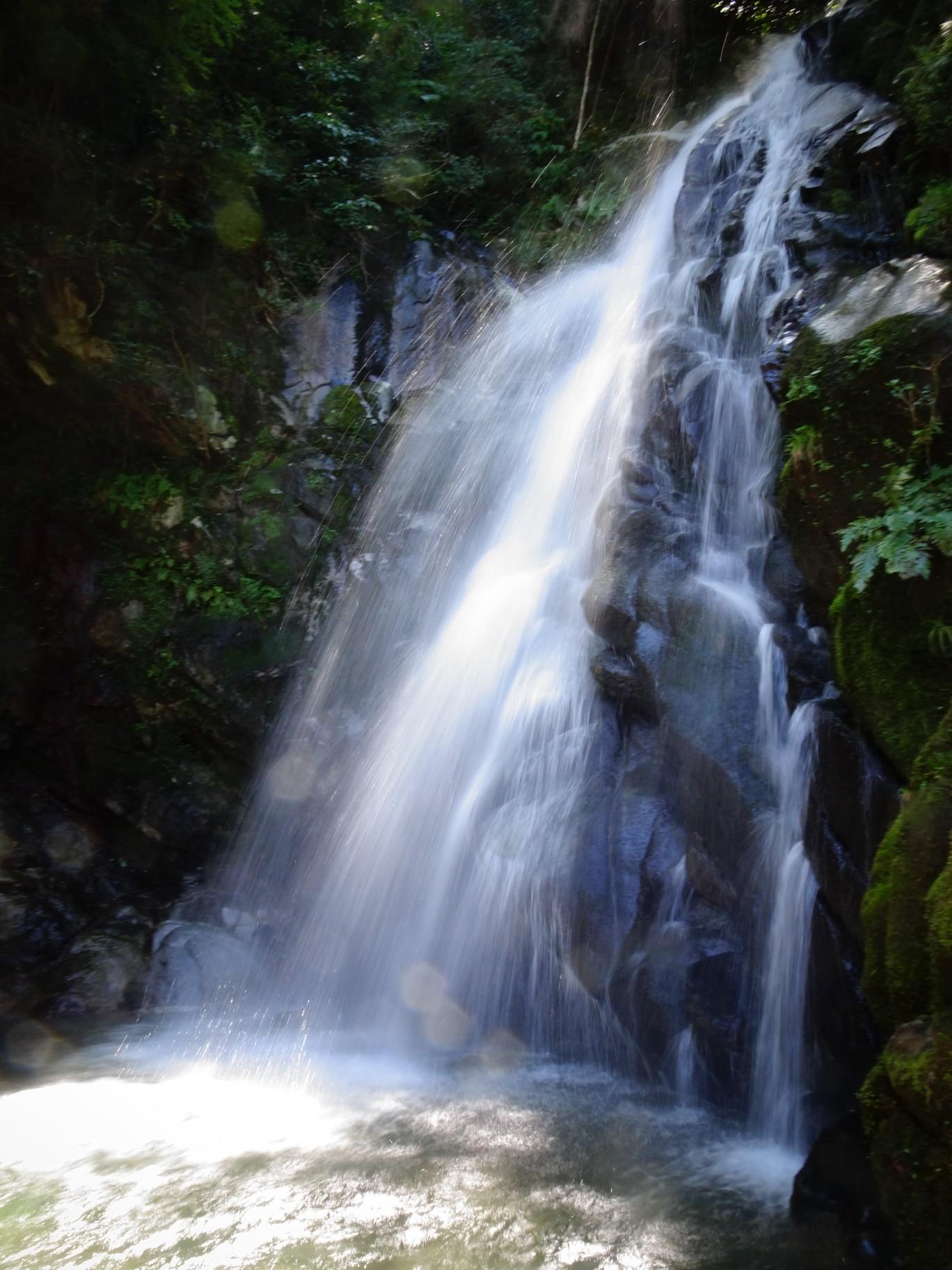 金山 坊主ケ滝 / katu3さんの脊振山・金山の活動データ | YAMAP / ヤマップ