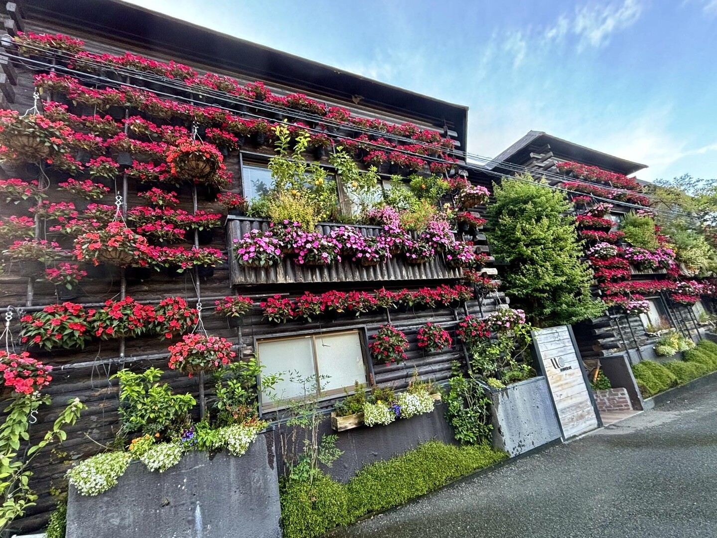 阿武山踏んで記念日ラン / ミカン de mikanさんの竜王山・阿武山の活動データ | YAMAP / ヤマップ