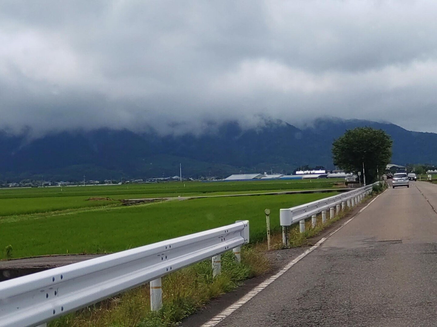 角田山 28-17 / P-kanさんの角田山の活動データ | YAMAP / ヤマップ