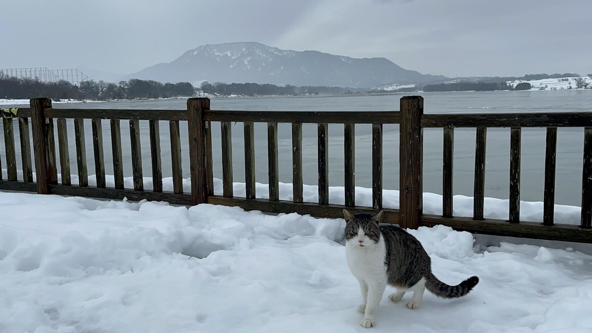 佐潟公園 / ISAさんの新潟市の活動データ | YAMAP / ヤマップ