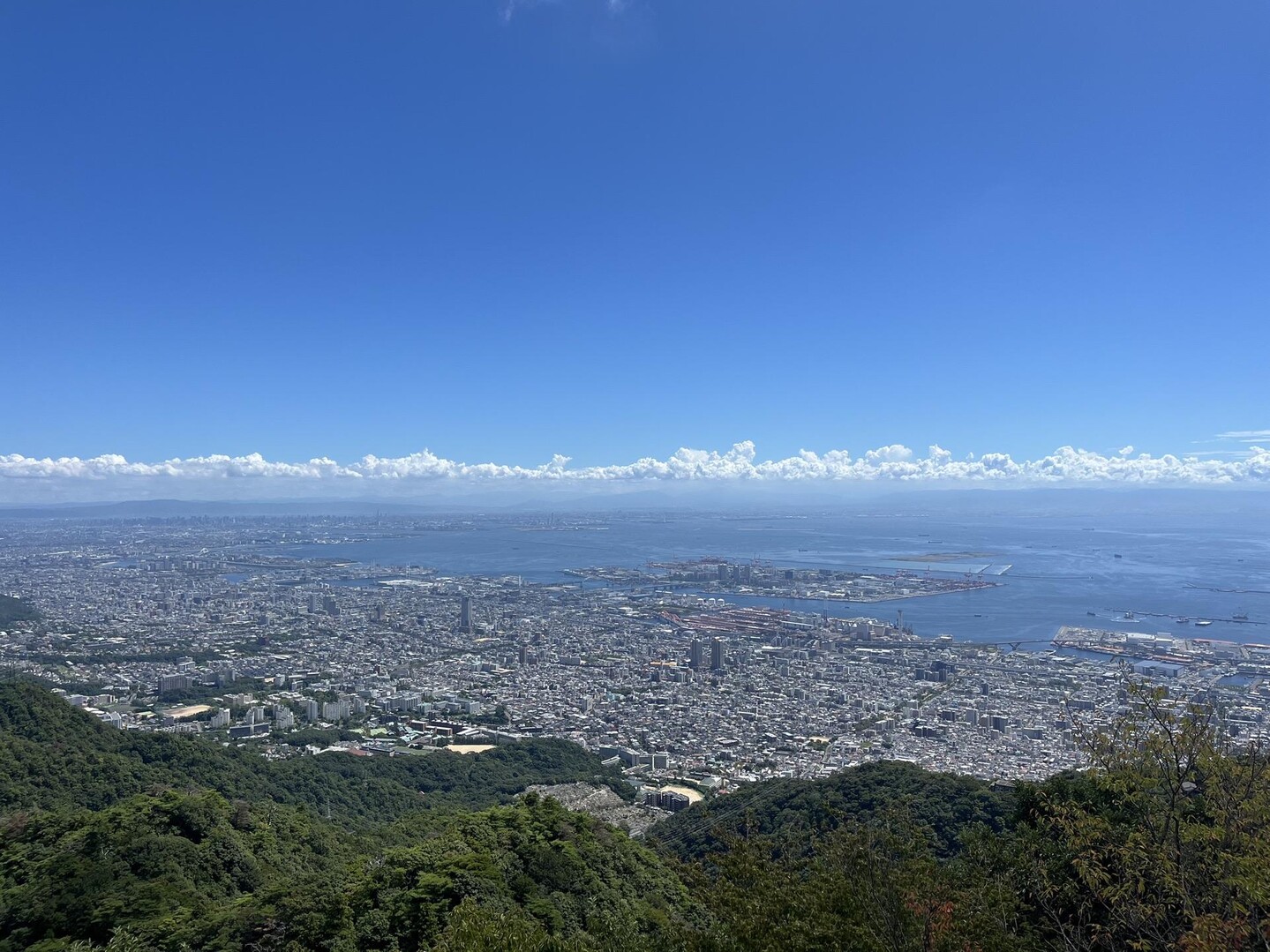 石楠花山〜掬星台 / .*˚MIKI★さんの六甲山・長峰山・摩耶山の活動日記 | YAMAP / ヤマップ