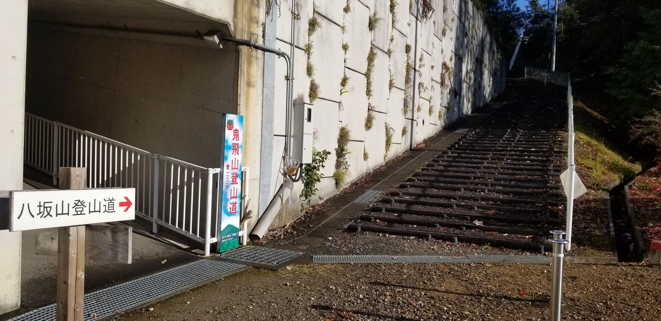 fuku🐤fukuさんの投稿したフィールドメモ | YAMAP / ヤマップ